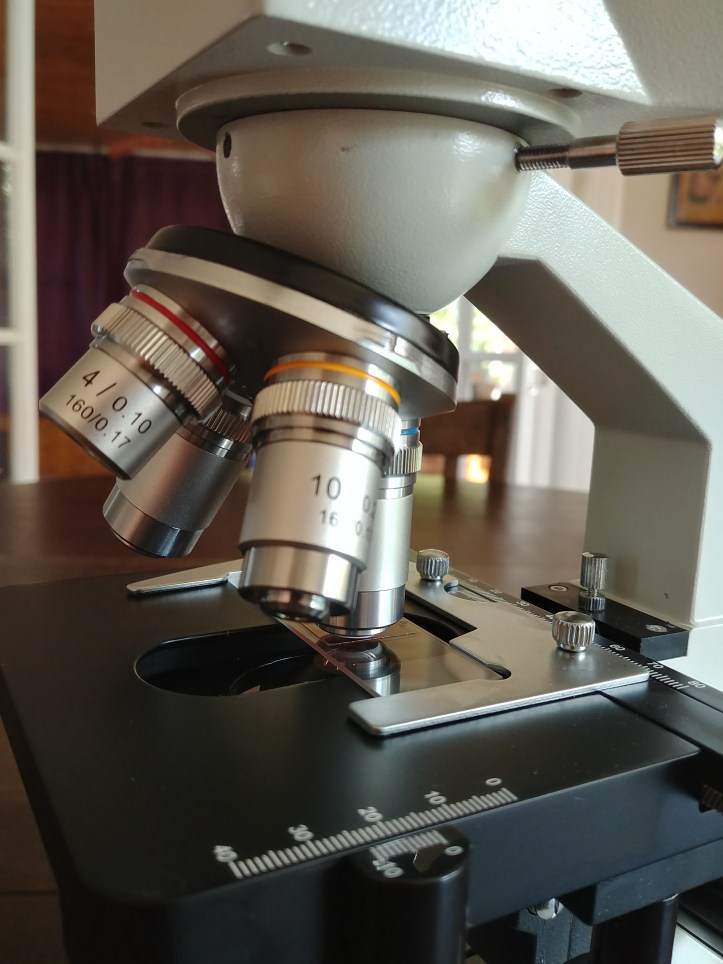 Review of the OMAX 40X-2500X Digital LED Trinocular Microscope with 5MP ...