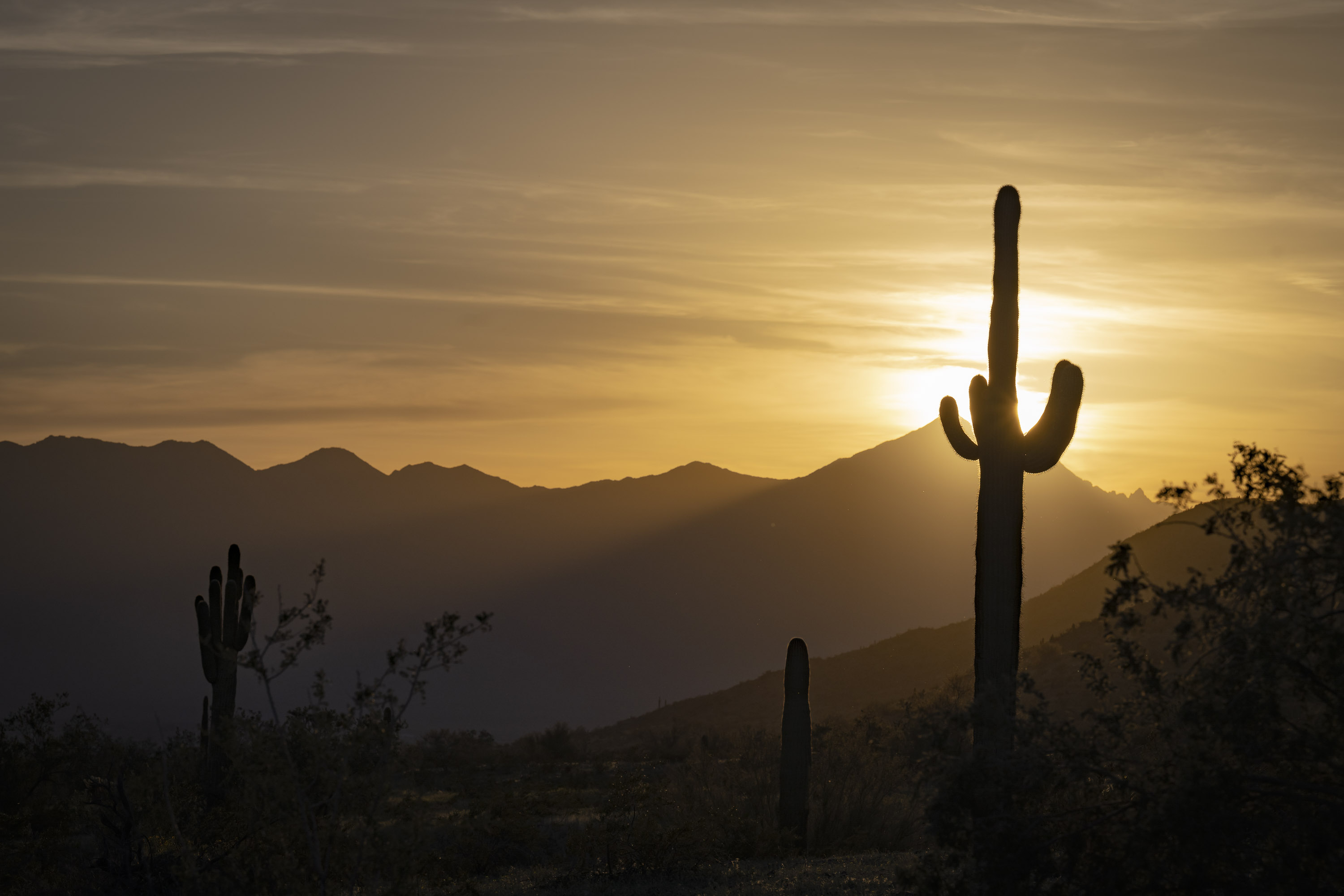 5 Reasons Why People Love Their Stay in Tolleson – Take It Personel-ly